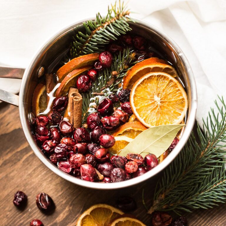 Winter Simmer Pot · Linen & Wildflowers