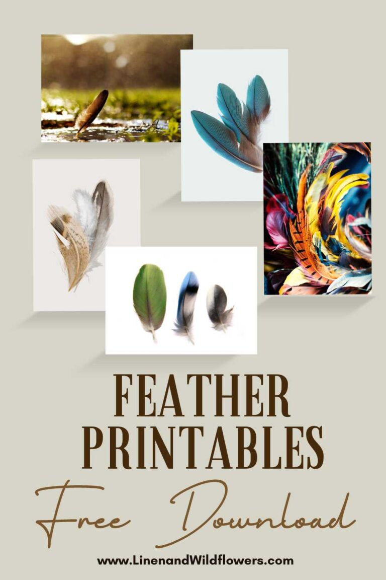 Simple DIY Feather Art Piece Perfect For Your Walls · Linen & Wildflowers